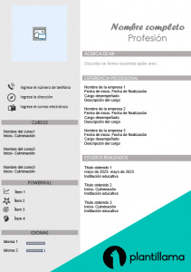 CURRICULIM MODERNOS Descarga GRATIS en Word